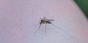 Can TMJ Cause Swollen Lymph Nodes? | Nation Health MD